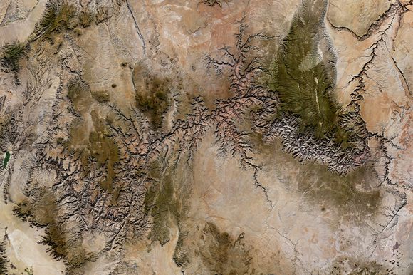 Colorado River Basin Map Art