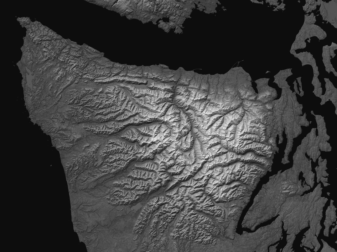 Queets River Rainforest Map Art